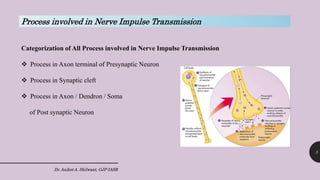 HUMAN NERVOUS SYSTEM PART II | PPT