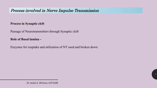 HUMAN NERVOUS SYSTEM PART II | PPT