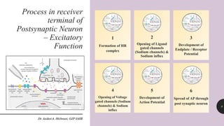 HUMAN NERVOUS SYSTEM PART II | PPT