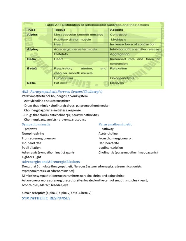 Human nervous system test | PDF