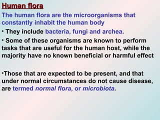 Human normal flora | PPT