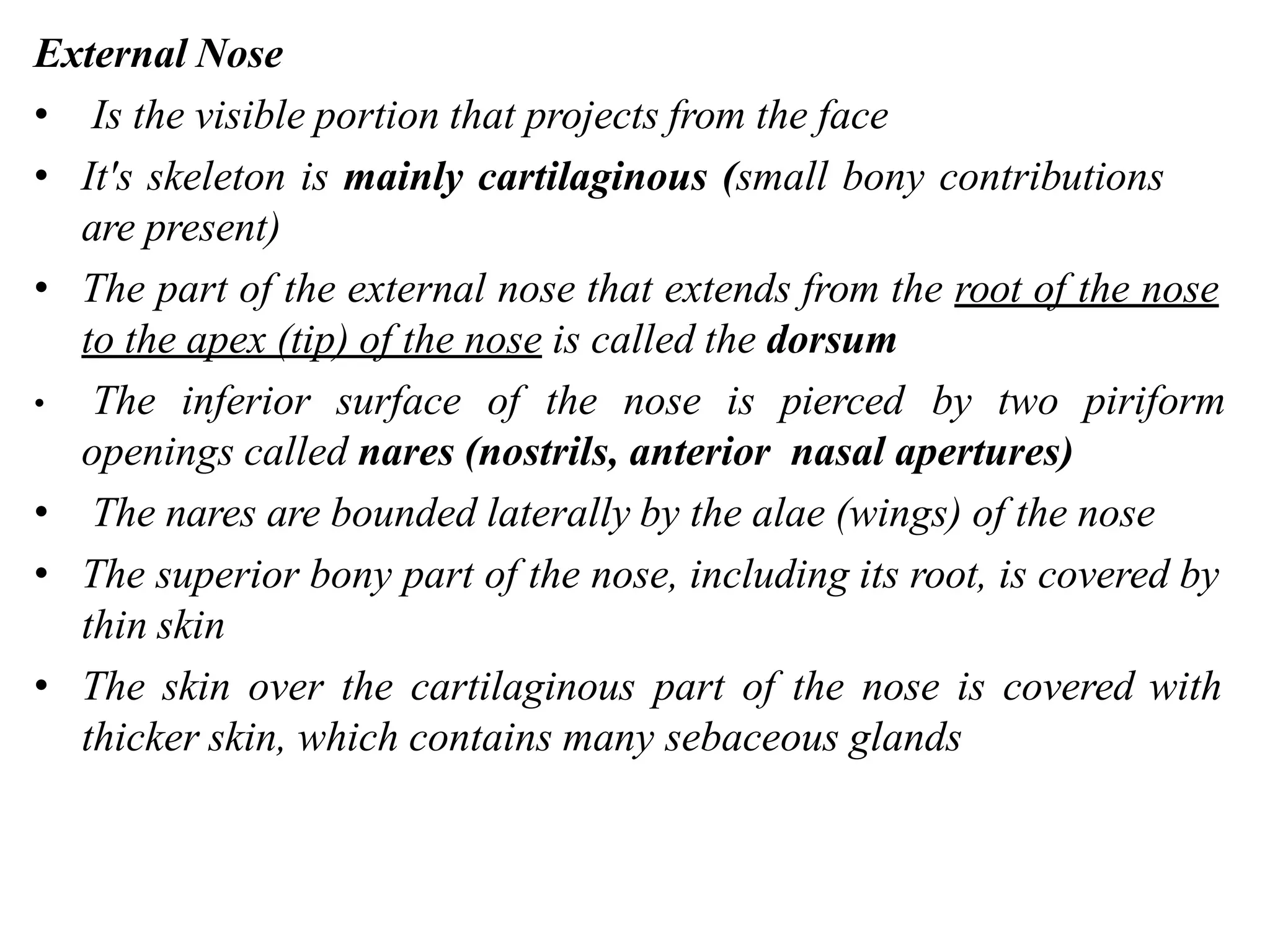 Nose Anatomy & Physiology | PPTX