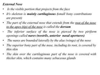 Nose Anatomy & Physiology | PPTX