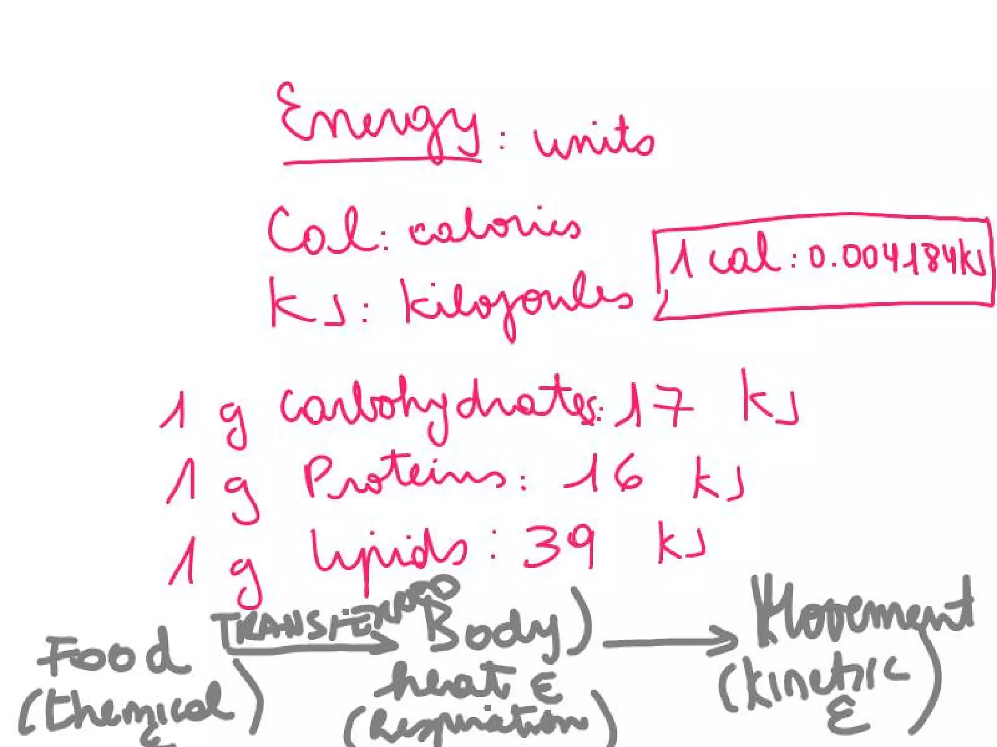 Human nutrition | PPT