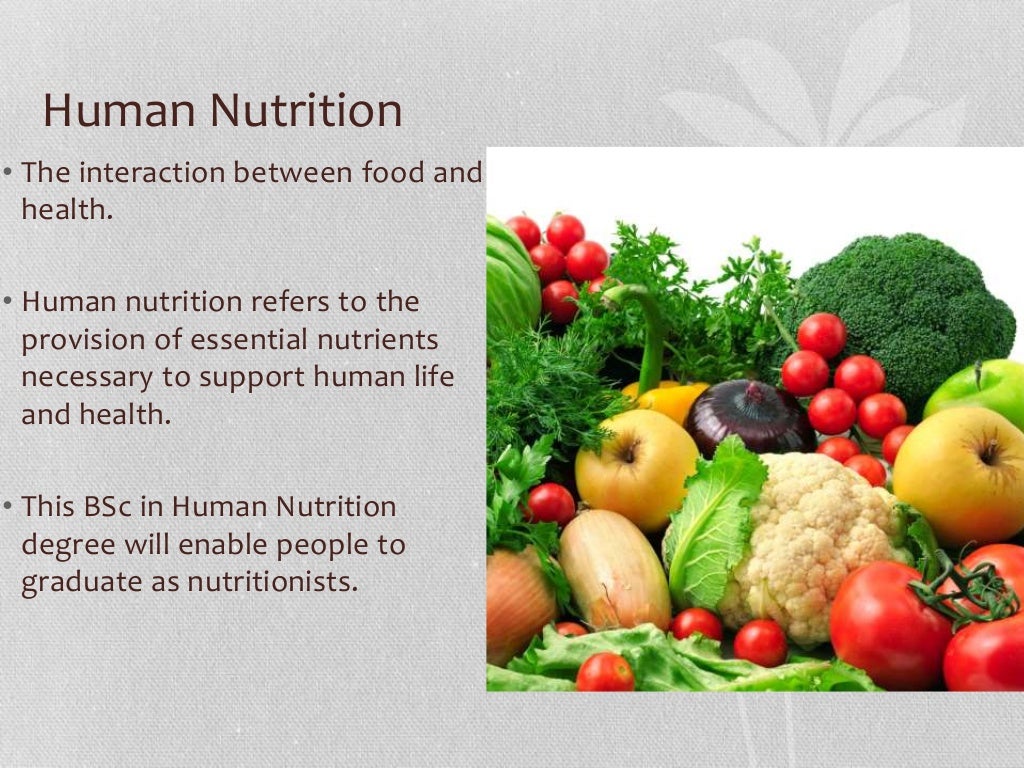 Human nutrition