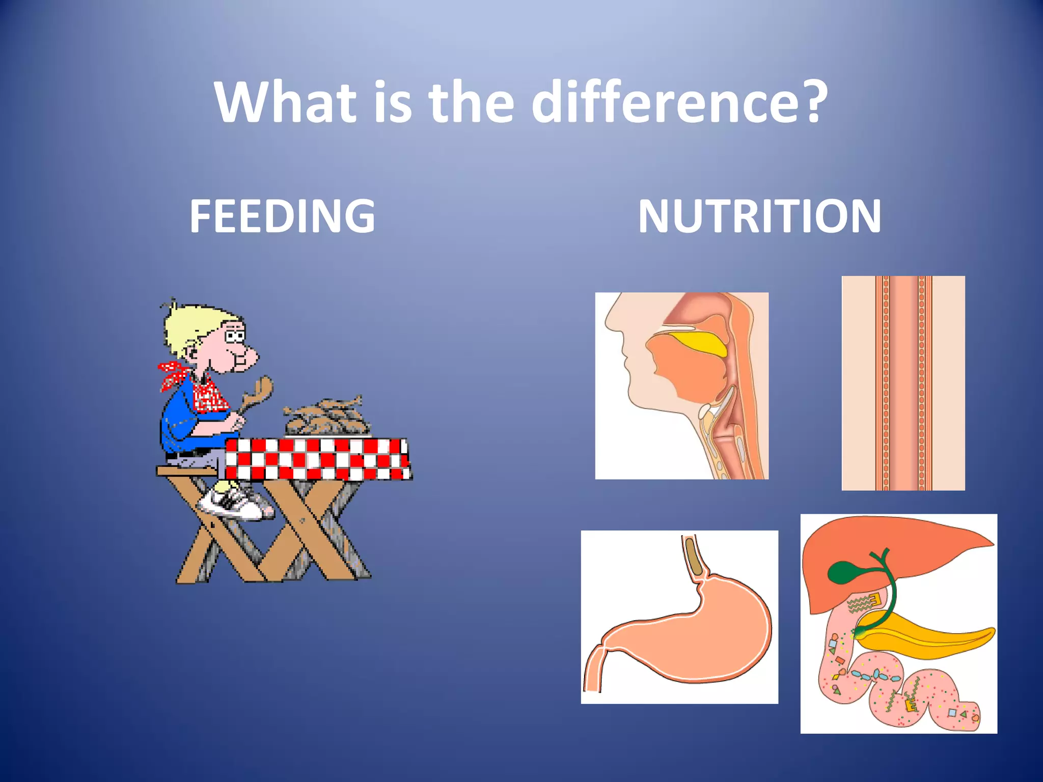 Human nutrition | PPT