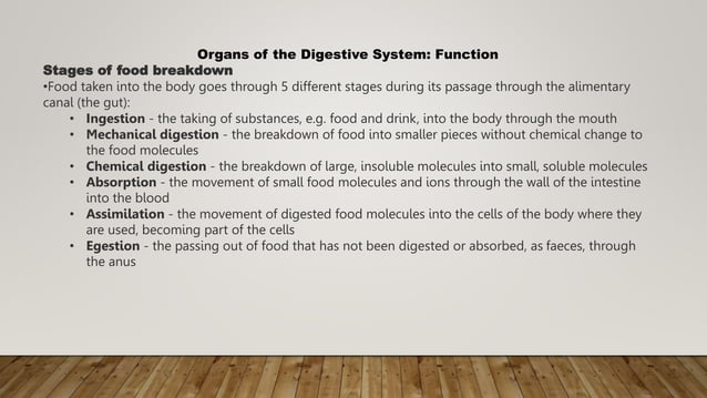 HUMAN NUTRITION.pptx IGCSE DIGESTIVE SYSTEM & DIGESTIVE GLANDS | PPTX ...