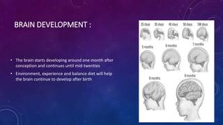 impact of nutrition on babies brain development | PPTX