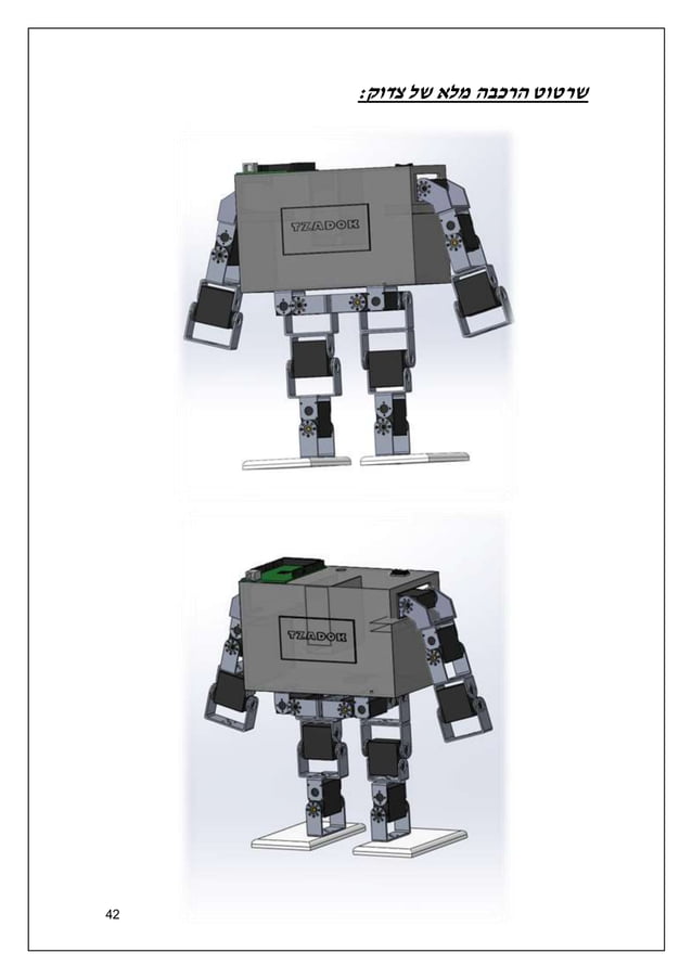 Humanoid project | DOCX