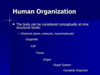 Human organization | PPT