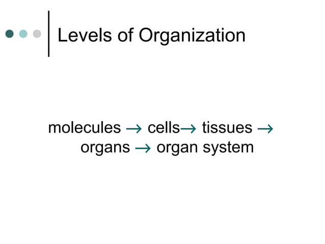 Mohawk College Prep Bio Human organization lecture | PPT Mohawk College Prep Bio Human organization lecture | PPT