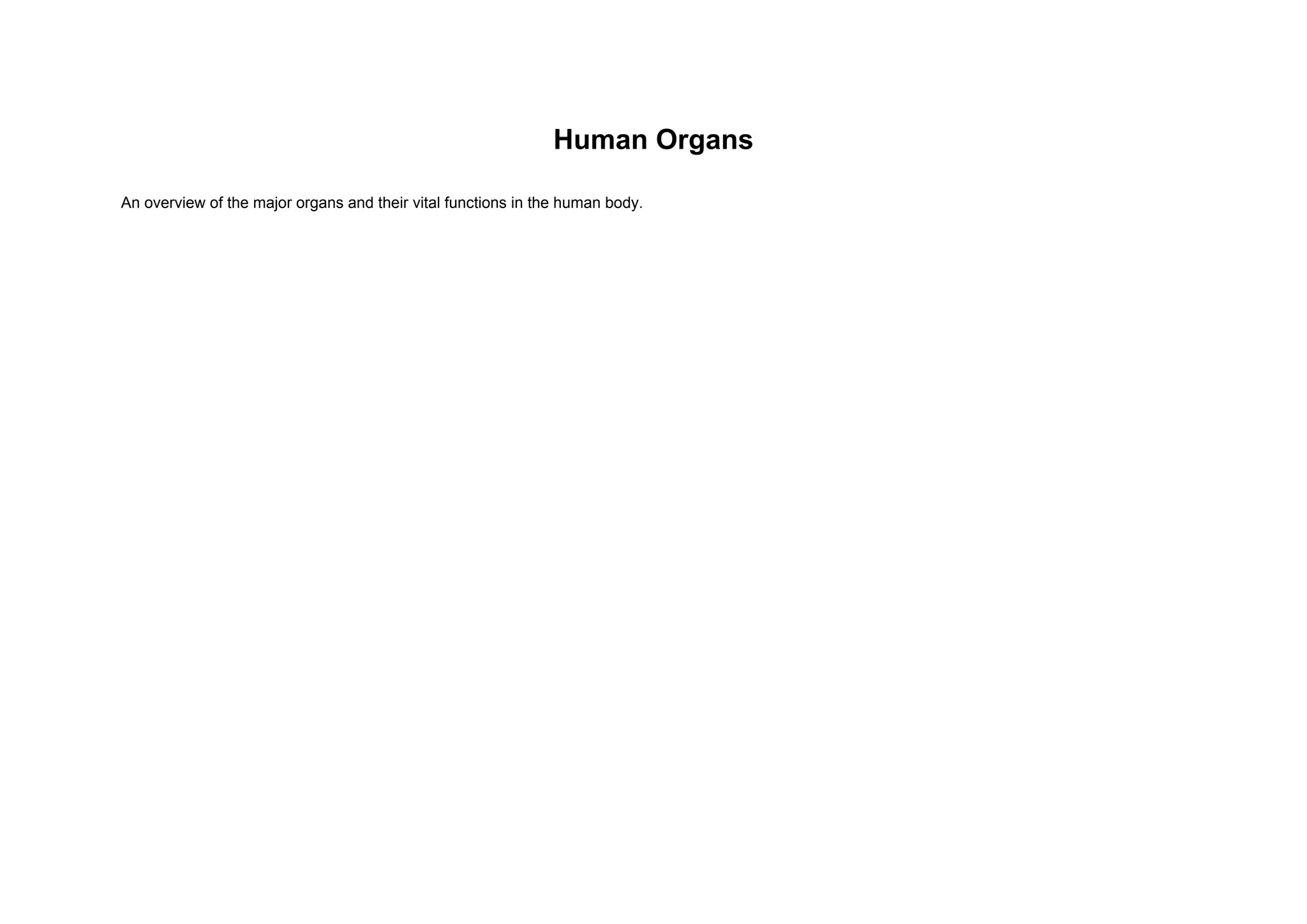 An overview of the major organs and their vital functions in the human ...