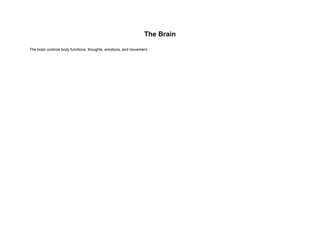 An overview of the major organs and their vital functions in the human ...