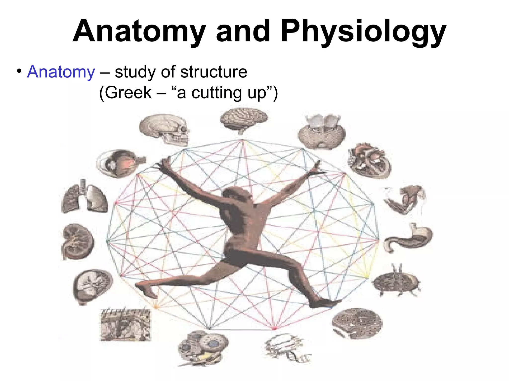 HUMAN ANATOMY & PHYSIOLOGY - BASIC | PDF