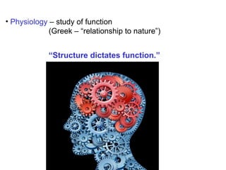 HUMAN ANATOMY & PHYSIOLOGY - BASIC | PDF