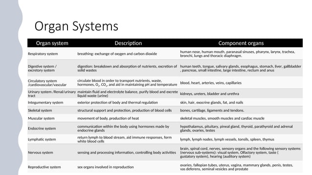 Human Organ Systems Grade 5 Science Introduction | PPTX