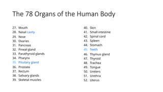 Human Organ Systems Grade 5 Science Introduction | PPTX