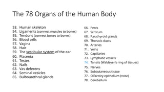 Human Organ Systems Grade 5 Science Introduction | PPTX