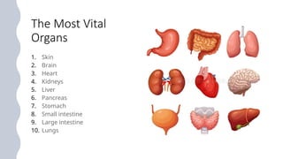 Human Organ Systems Grade 5 Science Introduction | PPTX