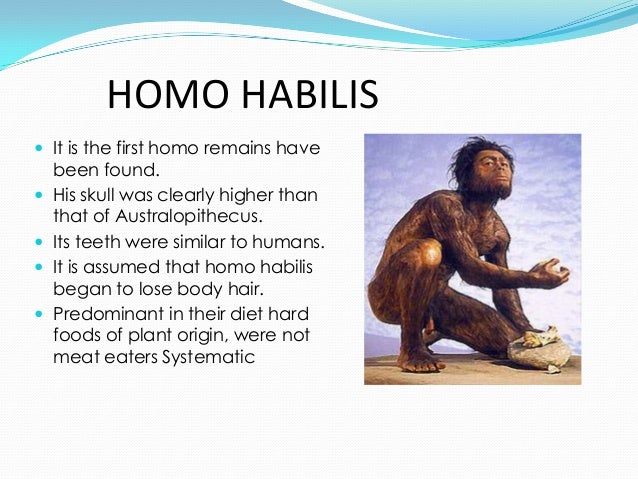 Homo Habilis Diet