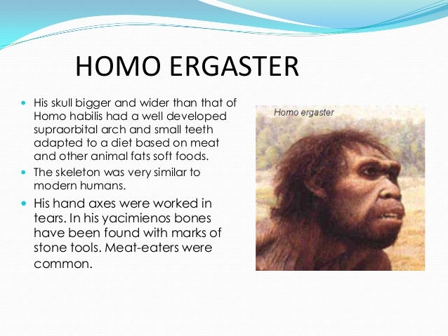 Homo Habilis Diet