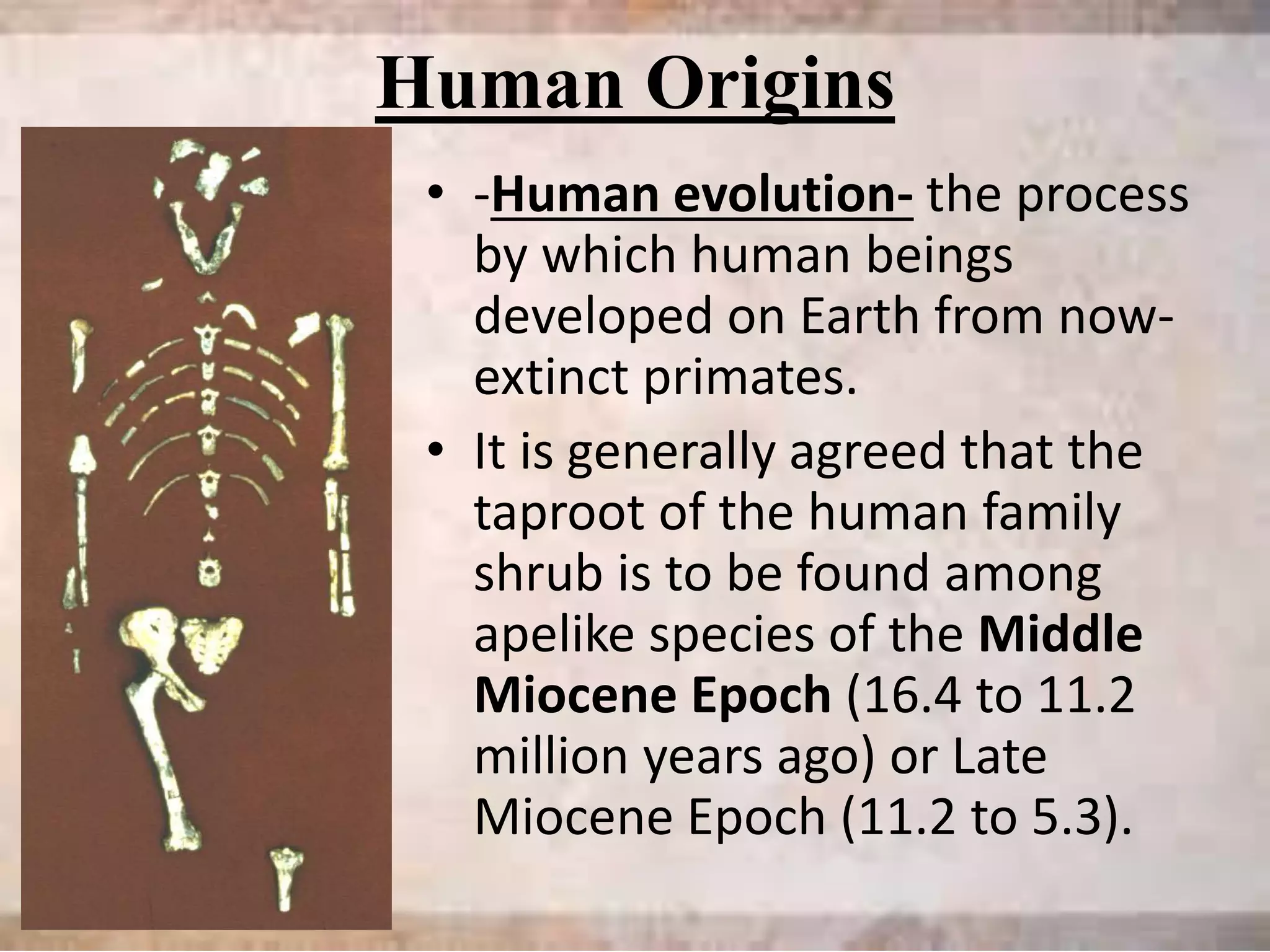 WH 1111, Human Origins and the Beginning of History | PPTX