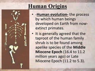 WH 1111, Human Origins and the Beginning of History | PPTX