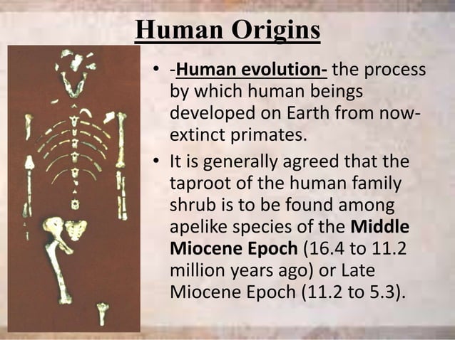WH 1111, Human Origins and the Beginning of History | PPTX