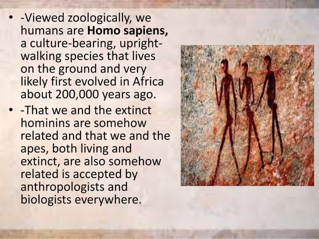 WH 1111, Human Origins and the Beginning of History | PPTX