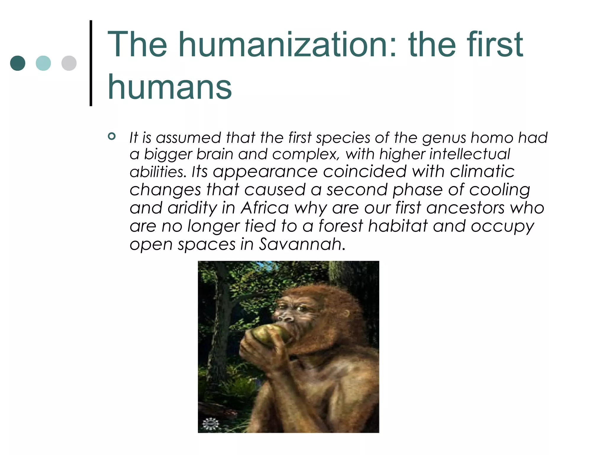 Human origins natalia rosalía | PPT