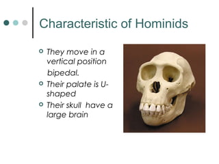 Human origins natalia rosalía | PPT
