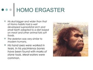 Human origins natalia rosalía | PPT