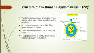 HUMAN PAPILLOMA VIRUS.pptx