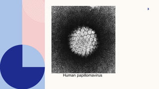 Human papillomavirus bbbbbbbbbbbbbbbbbbbbbbbbbbbbbbbbb | PPT