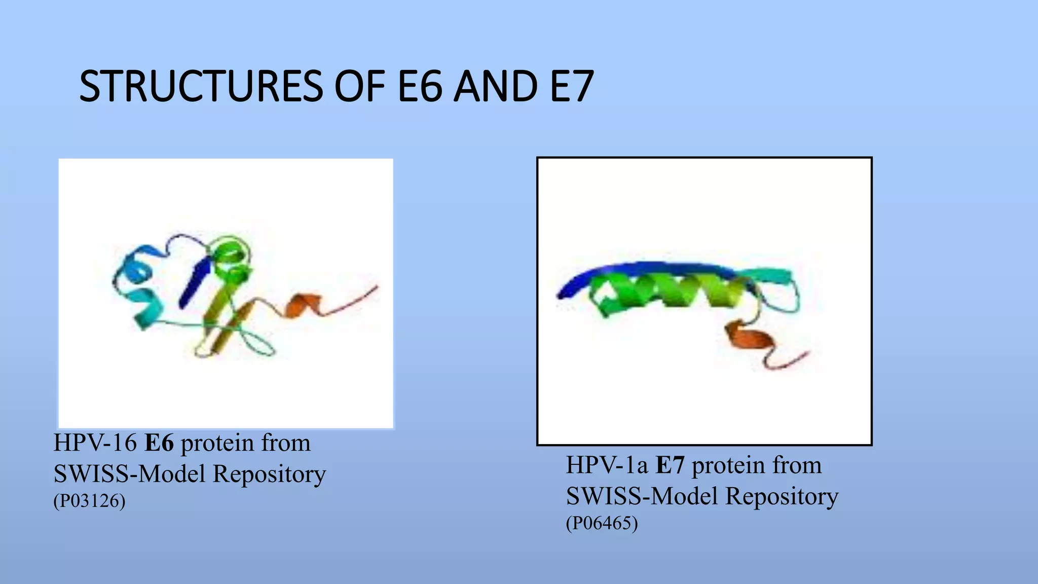 Human Papillomavirus and Cervical Cancer | PPTX