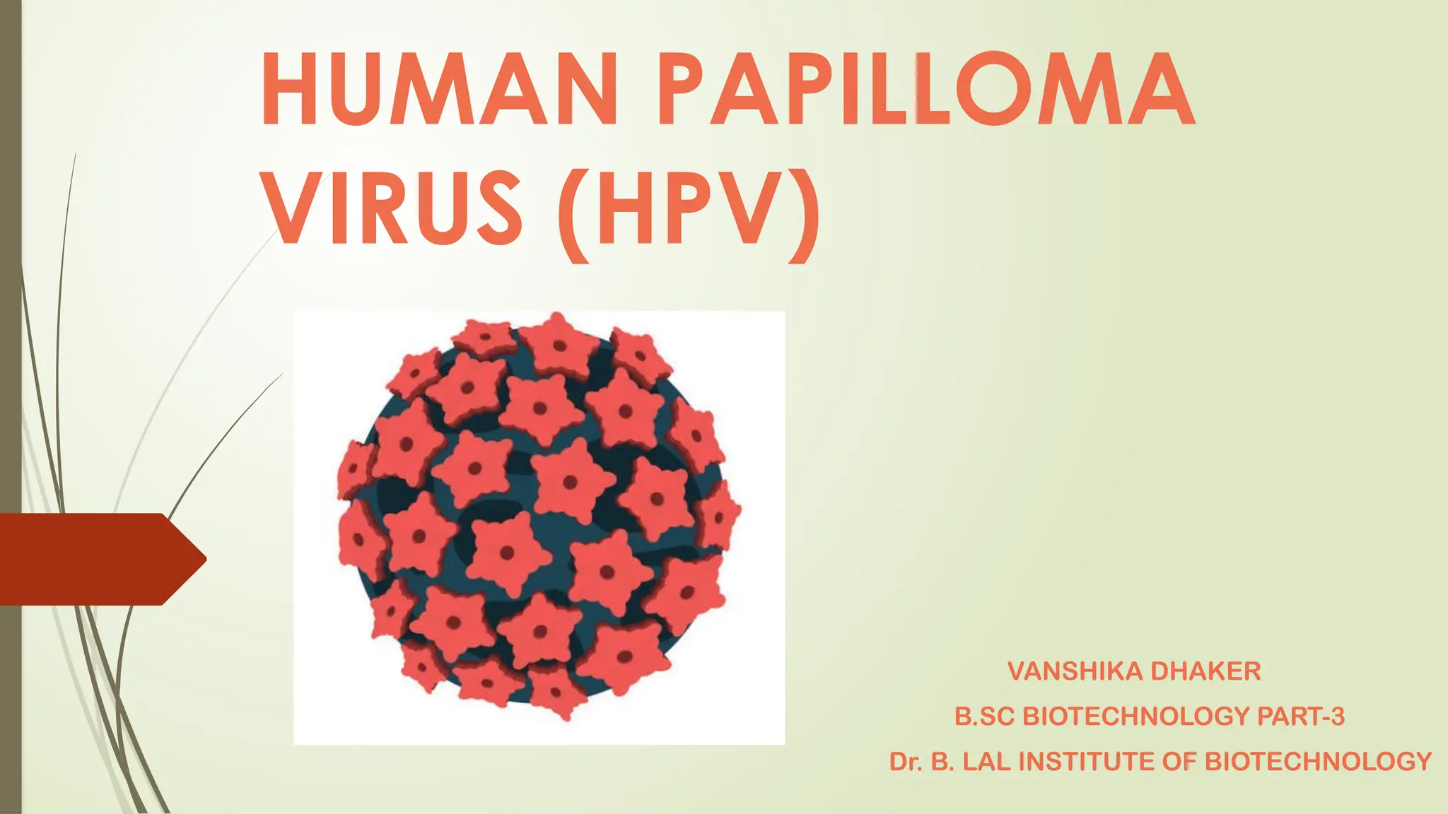 HUMAN PAPILLOMAVIRUS (HPV).pptm.pptx2024 | PPTX