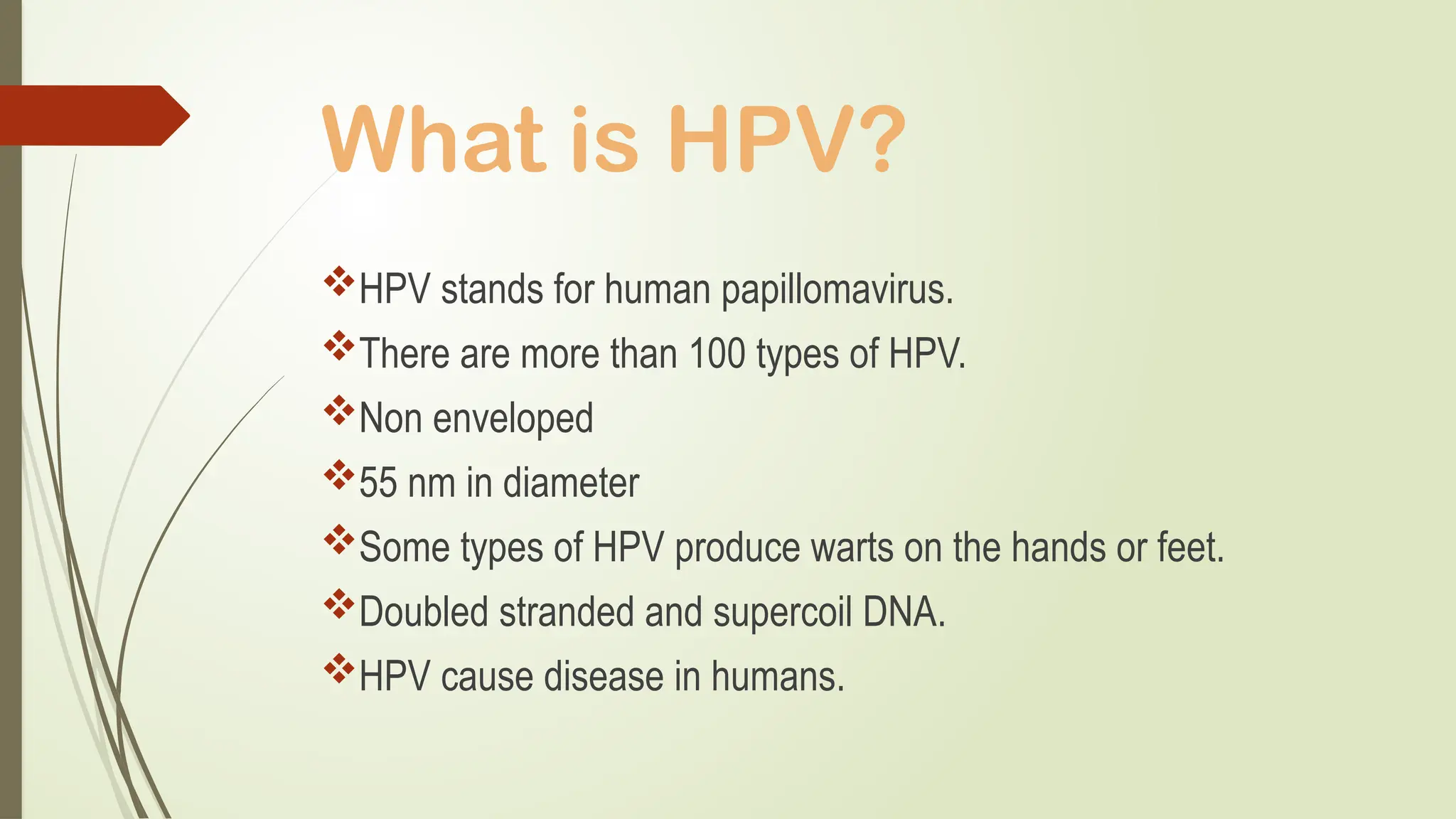 HUMAN PAPILLOMAVIRUS (HPV).pptm.pptx2024 | PPTX