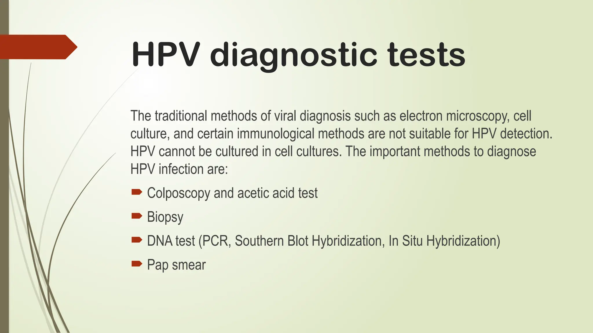 HUMAN PAPILLOMAVIRUS (HPV).pptm.pptx2024 | PPTX