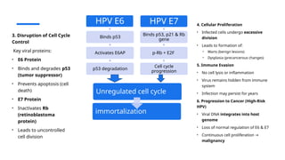Comprehensive Overview of Human Papillomavirus (HPV): Structure ...