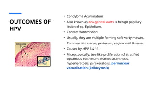Comprehensive Overview of Human Papillomavirus (HPV): Structure ...