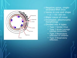 humanparainfluenzavirus 1.pptx. . | PPTX