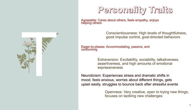 Human Personality Expressed By Their Thoughts.pptx