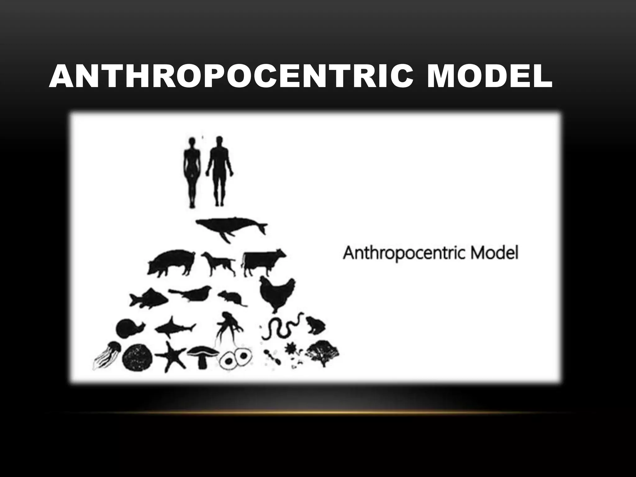 Human person in the environment ppt | PPTX