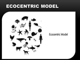 Human person in the environment ppt | PPTX