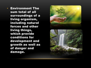 Human person in the environment ppt | PPTX