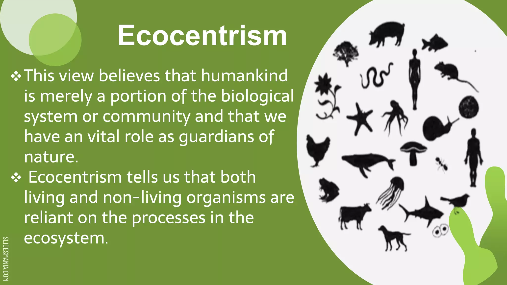 Human Person in their Environment.pptx