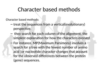 human phylogetic contrution of evolution tree.pptx