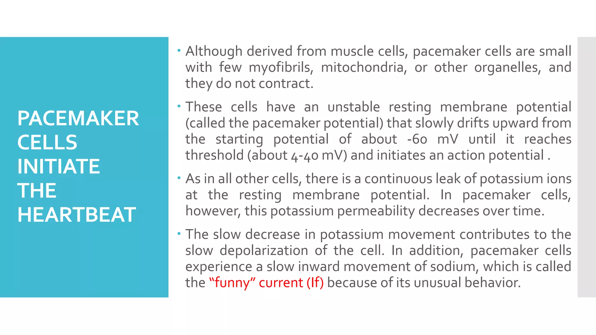 Heart- Myogenic heart . Mechanism of heart beat | PPTX