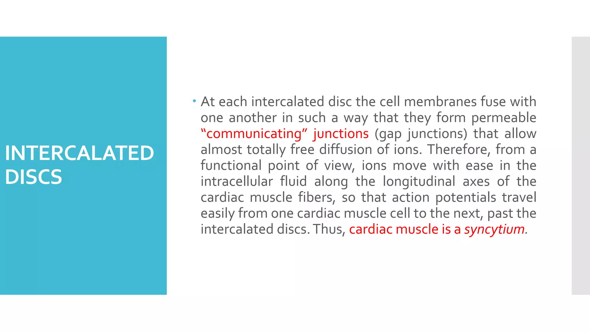 Heart- Myogenic heart . Mechanism of heart beat | PPTX