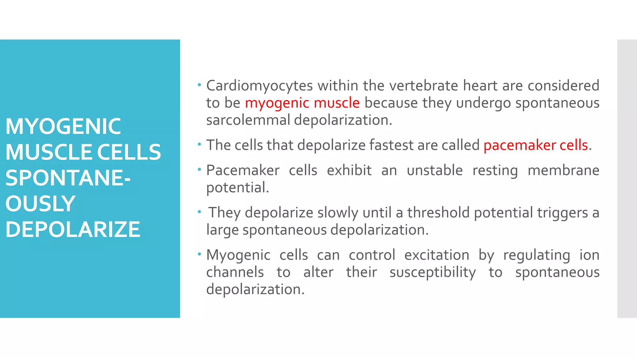 Heart- Myogenic heart . Mechanism of heart beat | PPTX